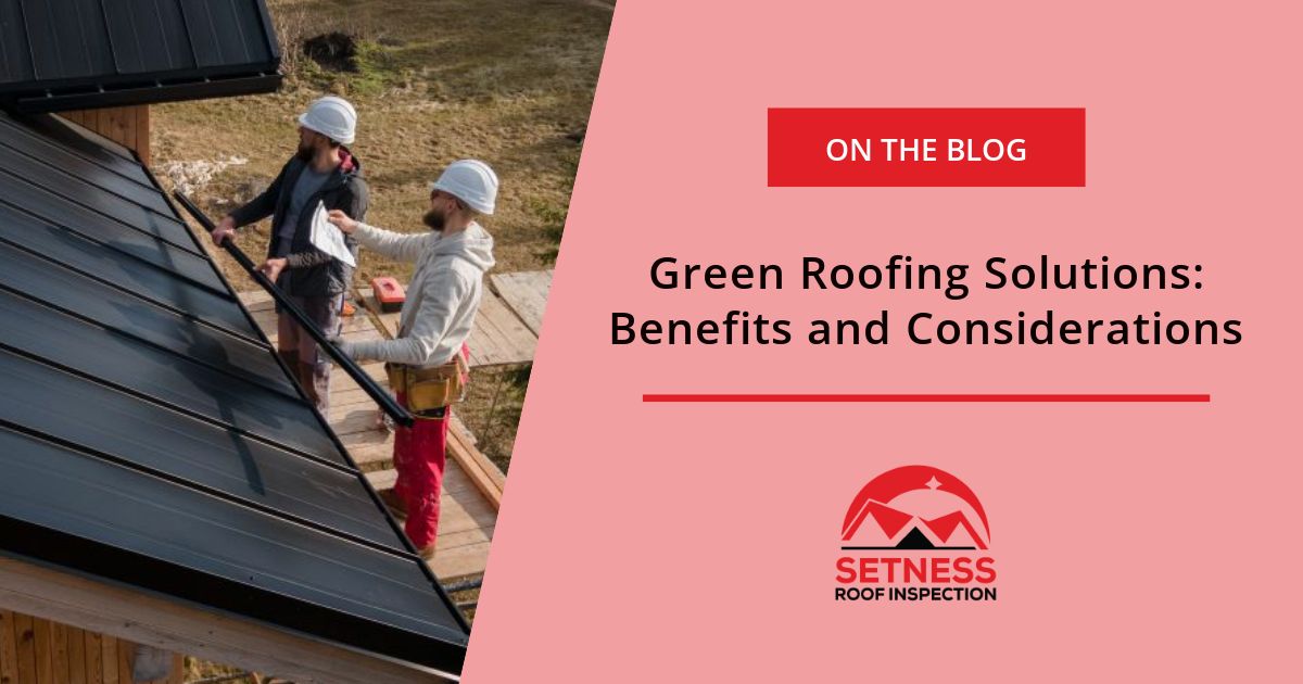 Green Roofing Solutions: Benefits and Considerations - Setness Roof ...